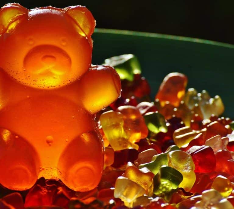 Try This Gummy Bear Science Experiment